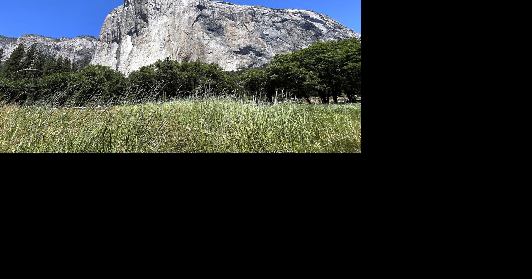 Admired climber dies in fall from Yosemite's El Capitan during apparent ...