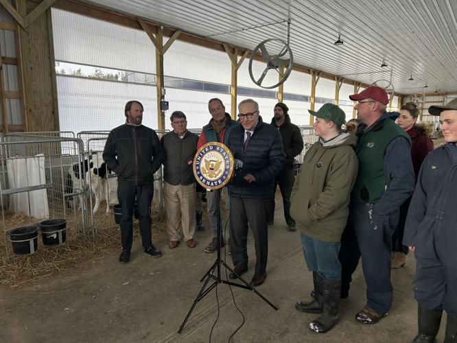 Chuck Schumer visits Valatie dairy farm | News | dailygazette.com