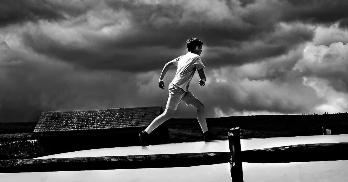 WAAM presents the Active Members' Spring Exhibition | Hudsonvalley360 ...