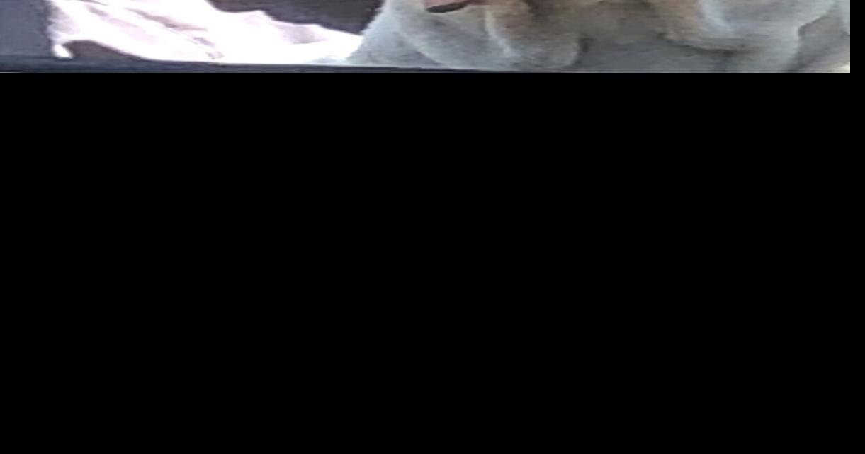 William Lloyd Moon | Obituaries | dailygazette.com