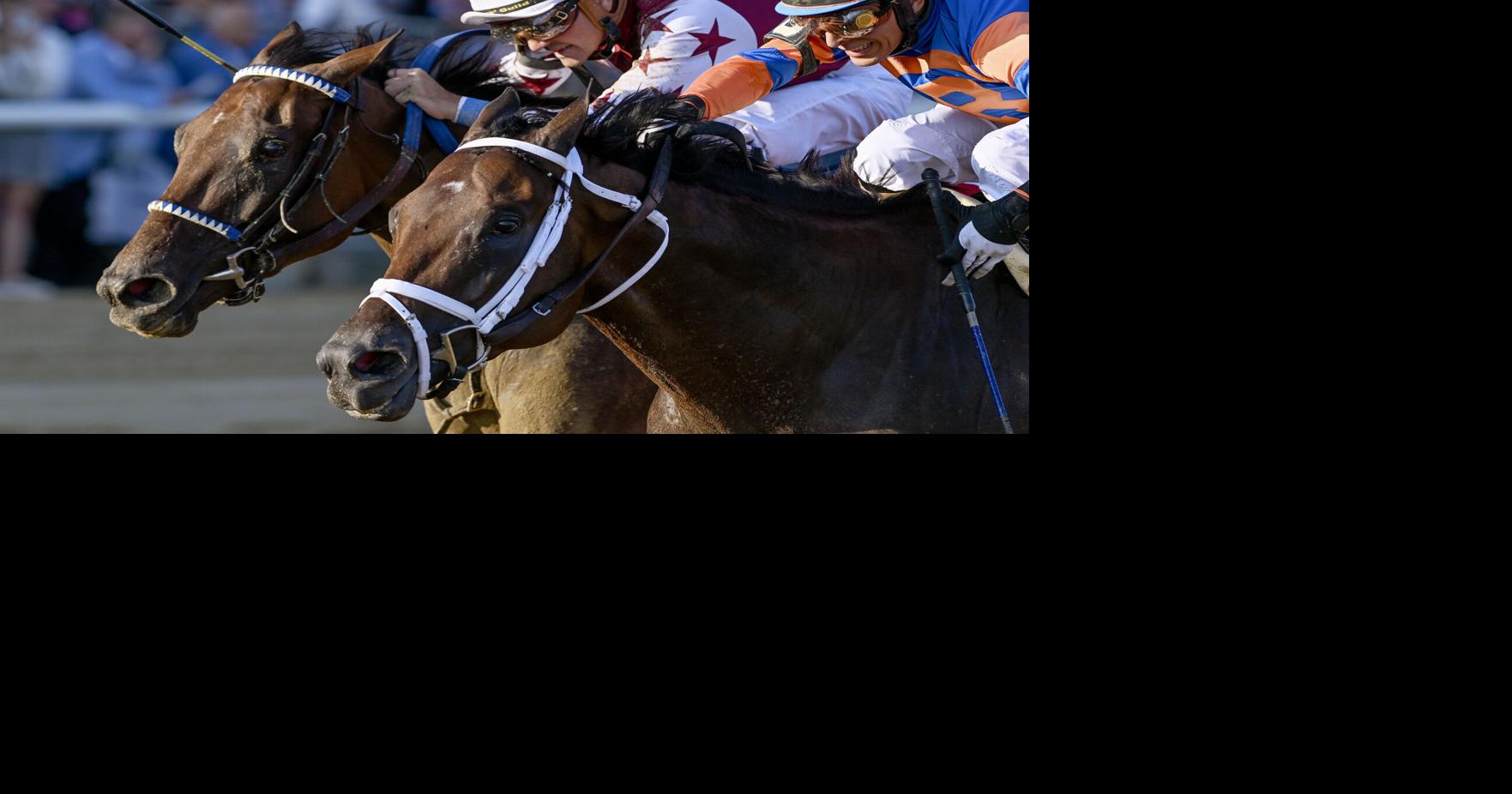 A Seat in the Bleachers: Fierceness and the filly give us a classic ...