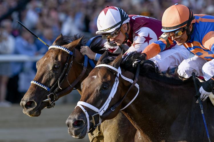 filly react christmas