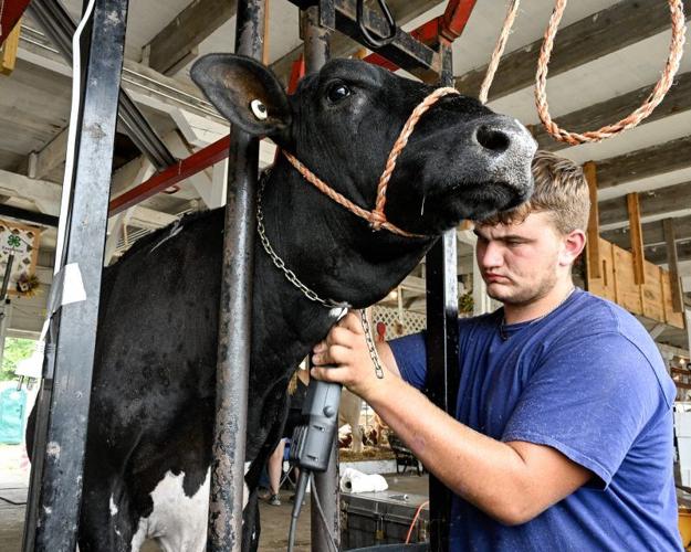 A fun day at the Schoharie County Fair — Images (10 photos) | News ...