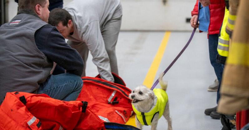 Operation At Ease at Niskayuna Fire District 2 | Local News | dailygazette.com