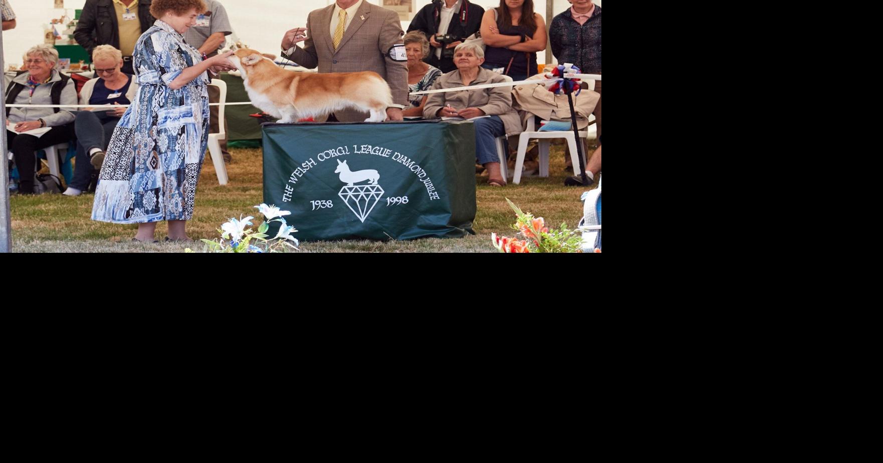 In a position to judge: Ashland vet offers services to AKC | News ...