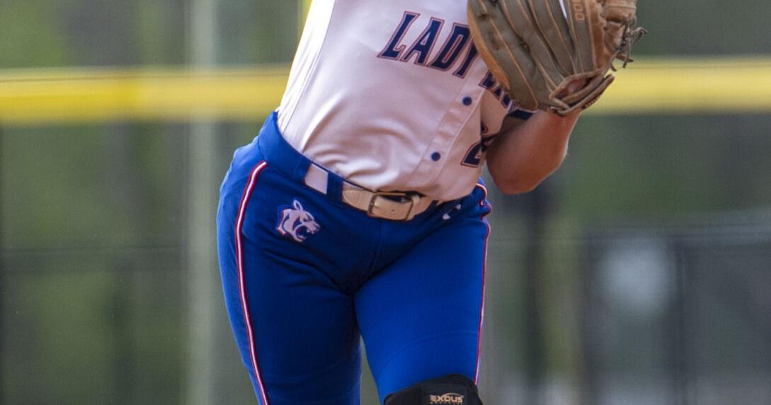 Lions rebound against Rowan; Cole, Case post big nights for Lewis ...