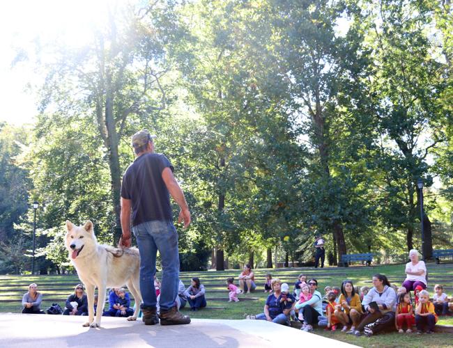 Preschoolers learn about wolf dogs | News | dailyindependent.com