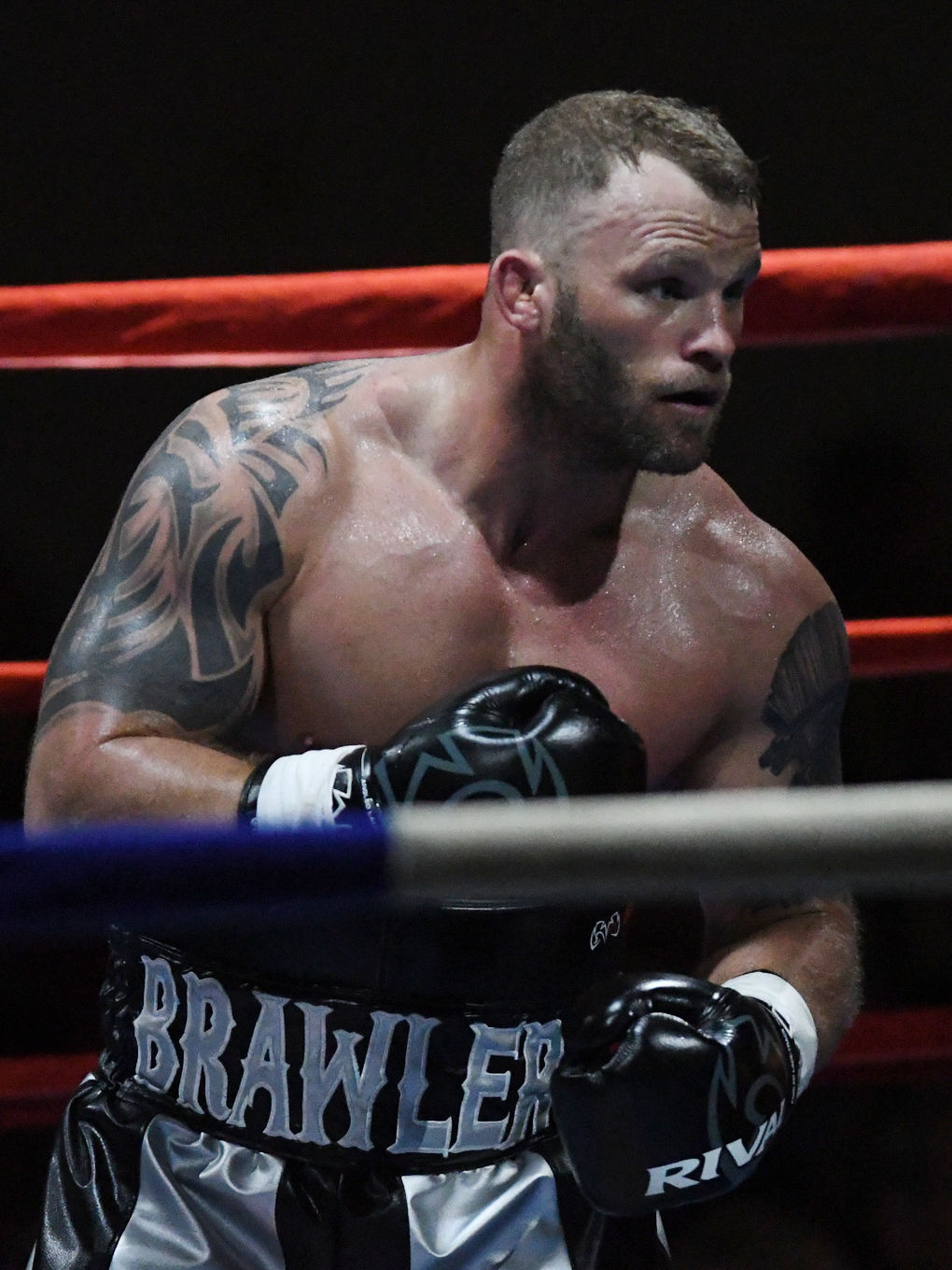 Hanshaw a world boxing champion (with video) | Sports ...