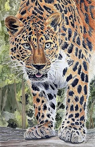 Local artist Conley uses her talent to remind us of fragile wildlife ...