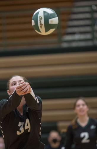 Hobbs, Brashear on second-team All-State volleyball | Sports ...