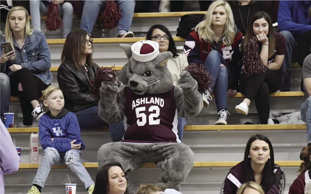 Mascot mania! Jordan Mintz brings Ashland Tomcat to life | News ...