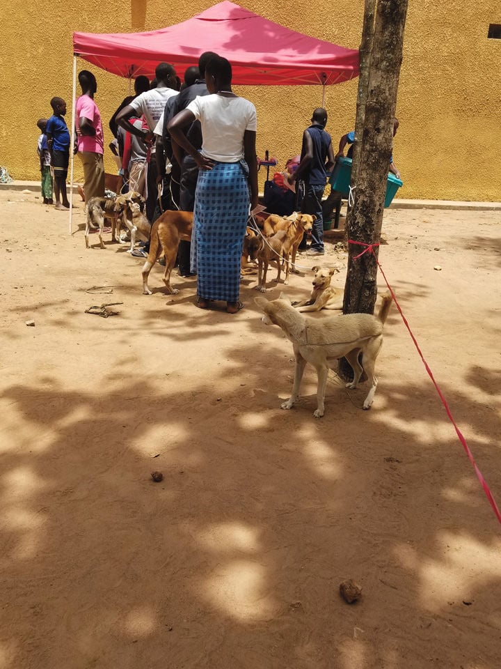 Local vet’s efforts recognized | News | dailyindependent.com