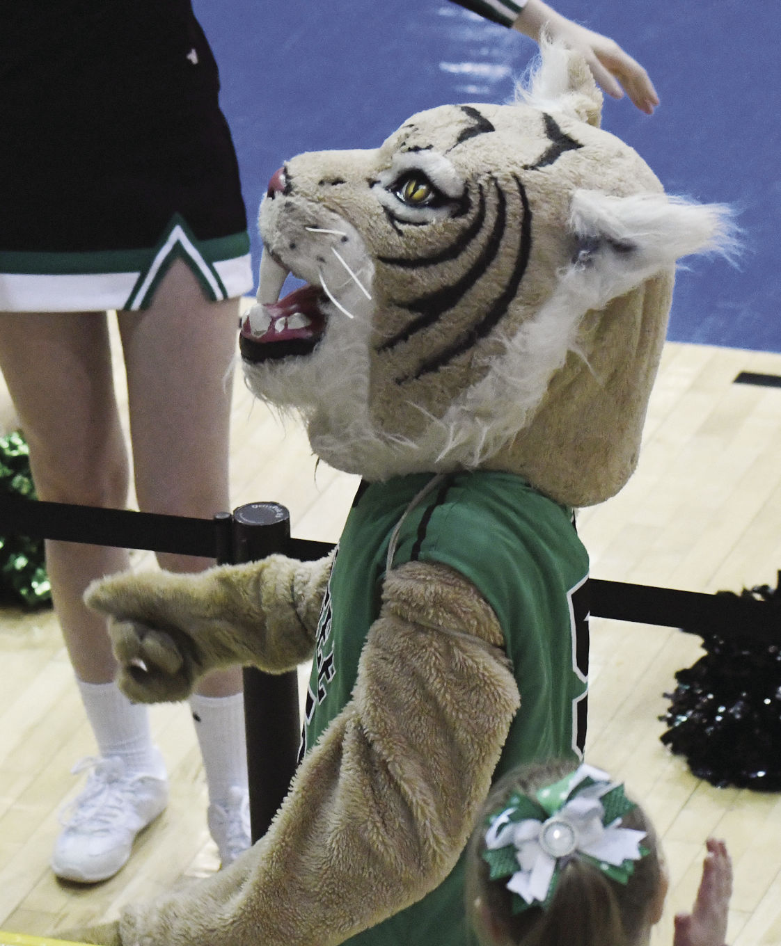 Mascot mania! Jordan Mintz brings Ashland Tomcat to life | News ...
