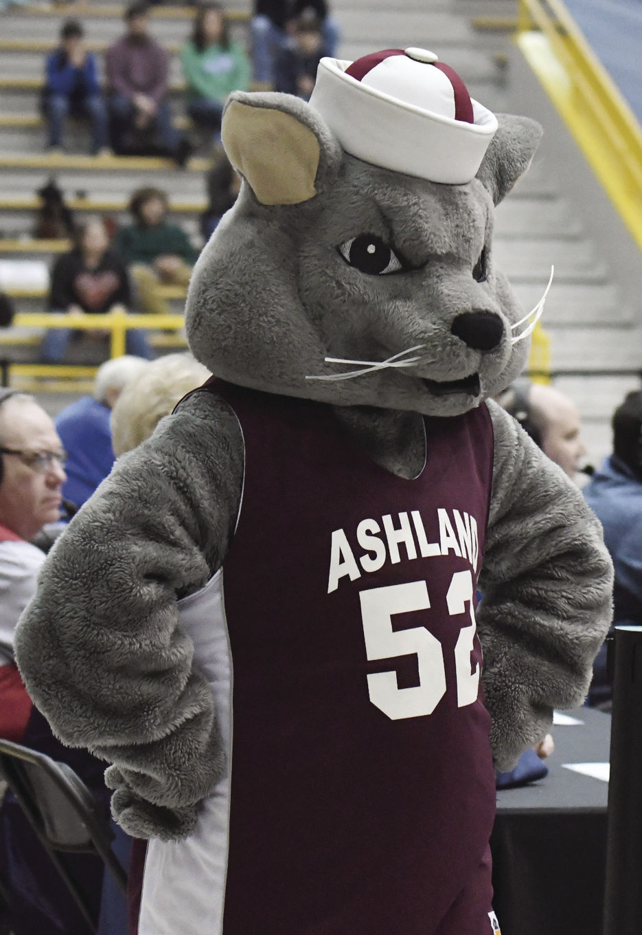 Mascot mania! Jordan Mintz brings Ashland Tomcat to life | News ...