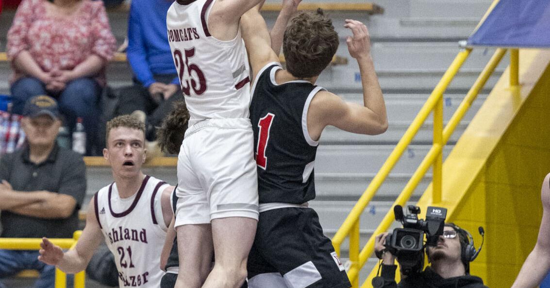 Davis family tree rooted in success: Quartet excelling in postseason ...