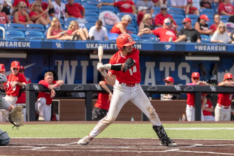 State baseball championship: ‘Better because of it’ Lions back to state ...