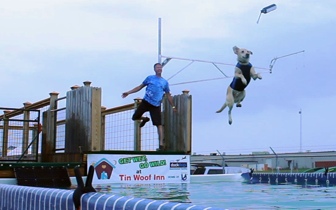A leap of fun: DockDogs regional brings hundreds to area | News ...