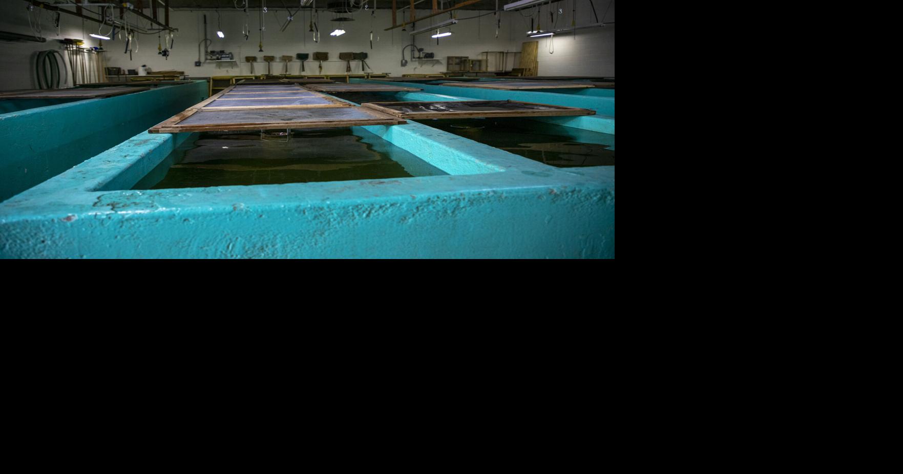 Insight: Fish Hatchery | | dailyindependent.com