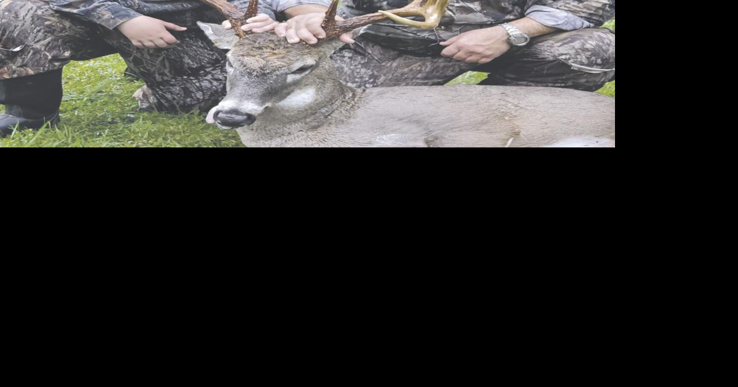 G. SAM PIATT: Local deer harvest exceeds 2,000 | Opinion ...