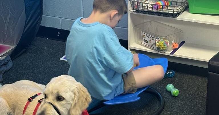 Scooby-Doo, where are you? Helping Greenup 7-year-old autistic boy fit ...