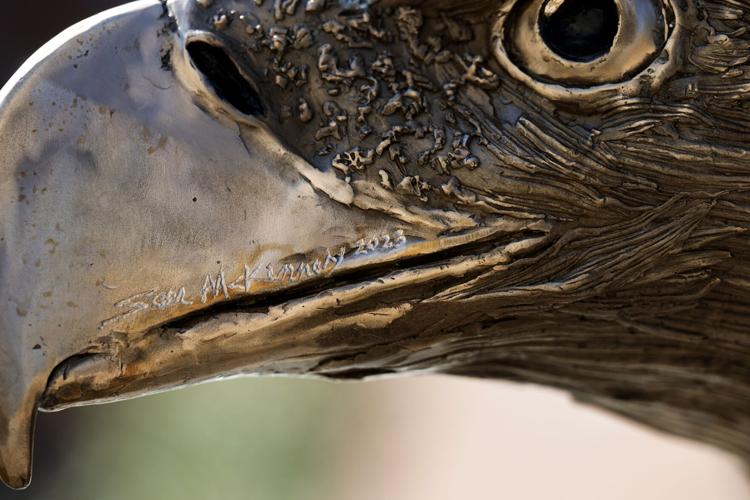 A new eagle has landed | News | dailyindependent.com