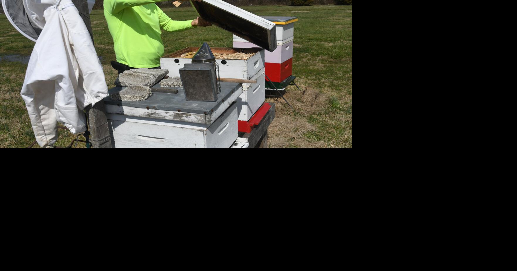 Bee-coming a keeper: How Greenup County is abuzz with beekeeping | News ...