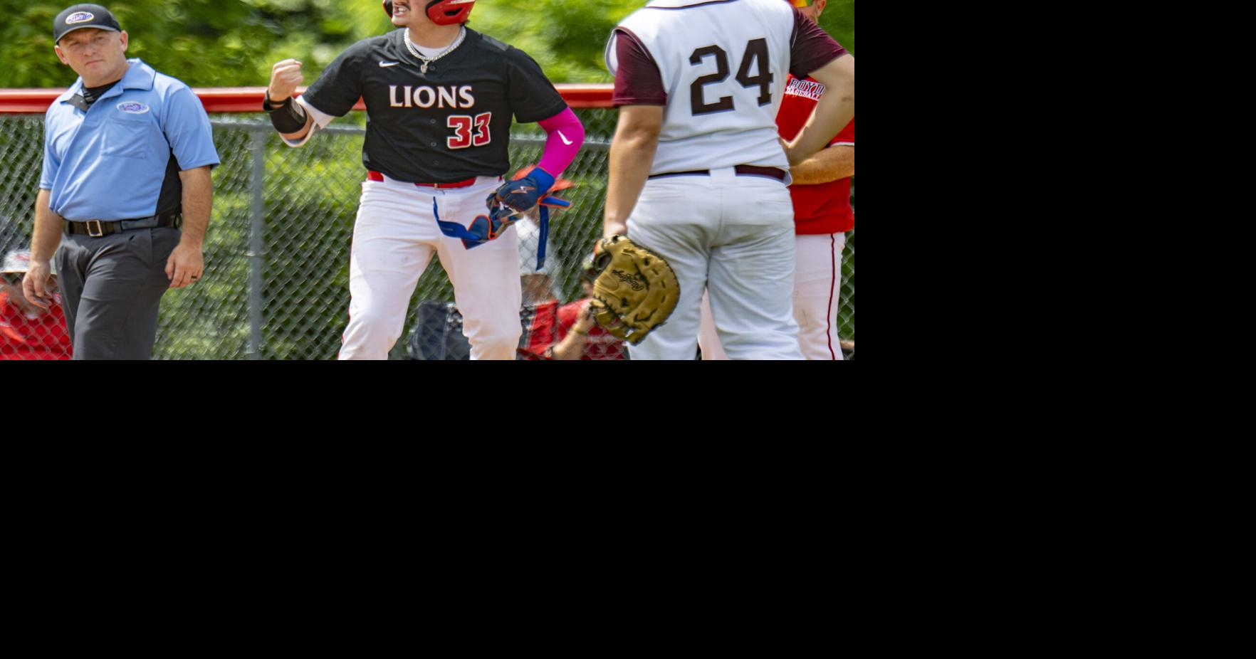 State baseball feature: Every pitch counted: State-bound Lions, staff ...
