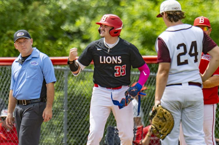 State baseball feature: Every pitch counted: State-bound Lions, staff ...