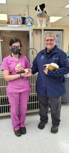 Teen honored | News | dailyindependent.com