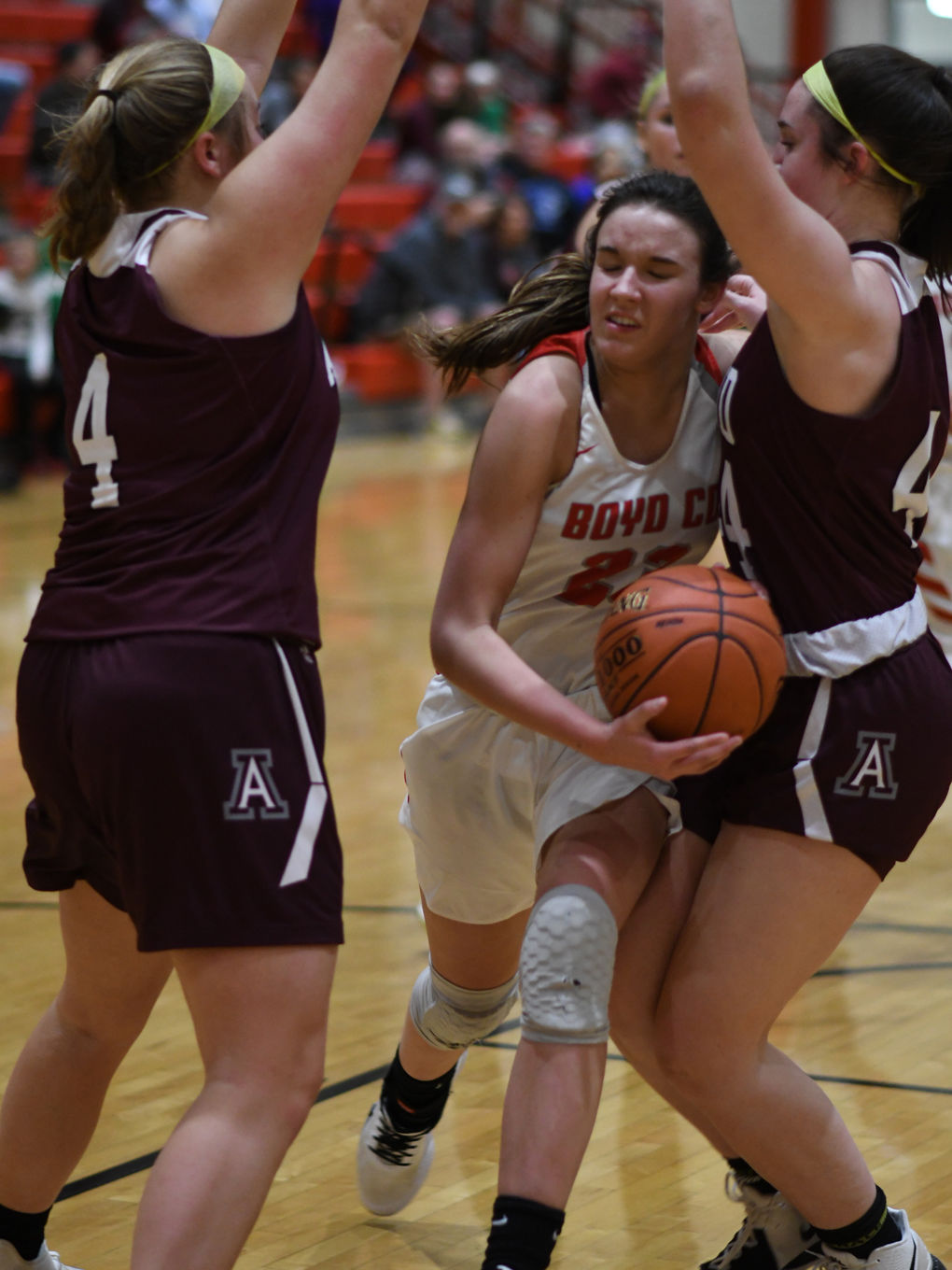 Lady Lions rough it vs. Kittens | Sports | dailyindependent.com