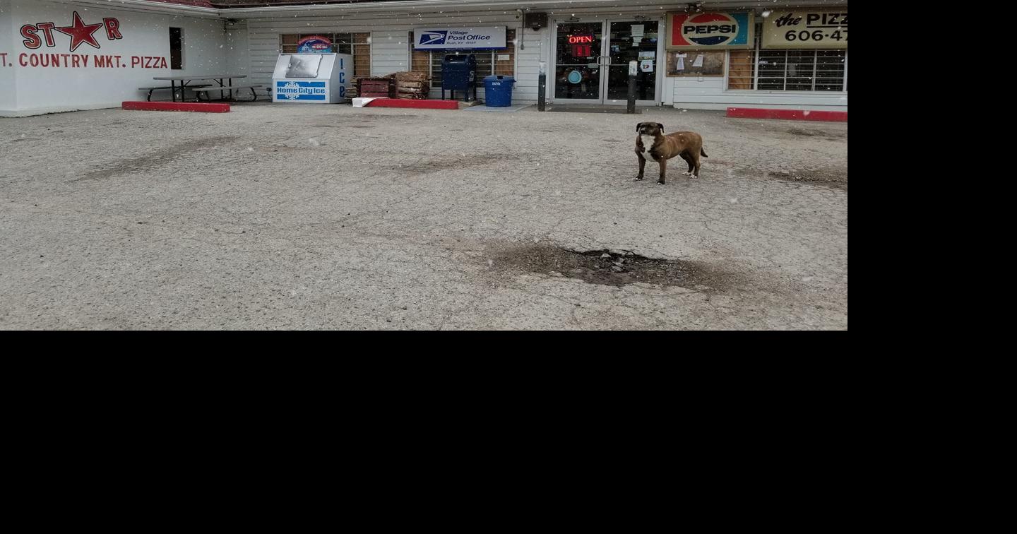 Failed burglary at Star Country Market | Grayson-Olive Hill ...