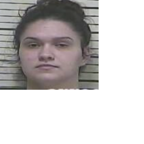 Dummitt receives max sentence; felony charges pending | News ...