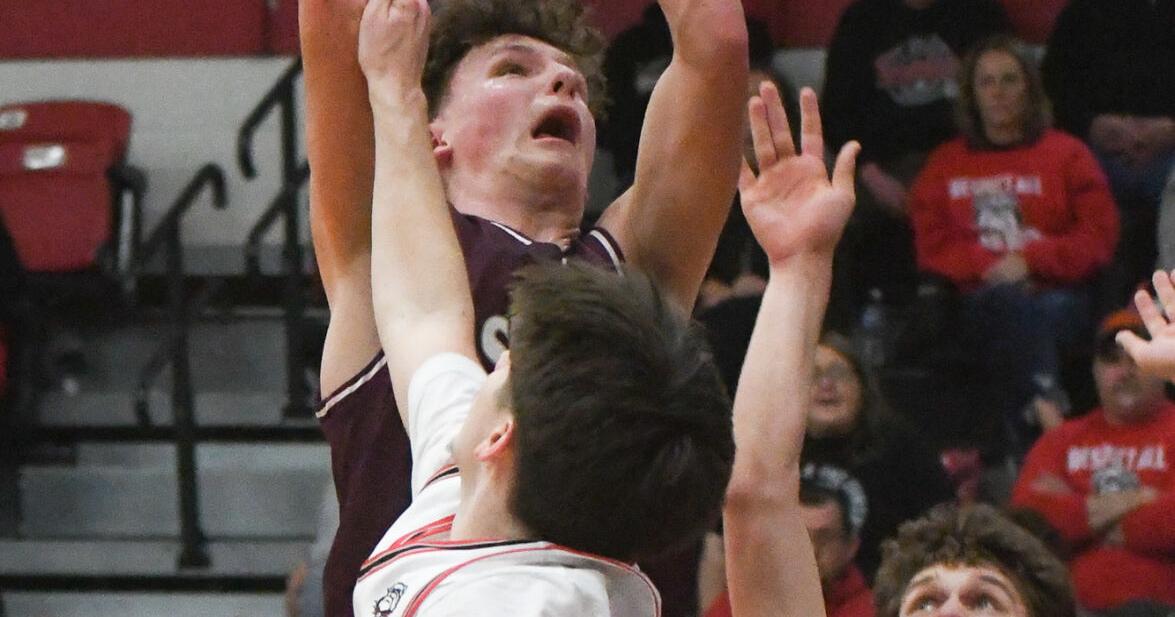 'Cats best in show: Ashland hands Bulldogs first defeat in own backyard ...