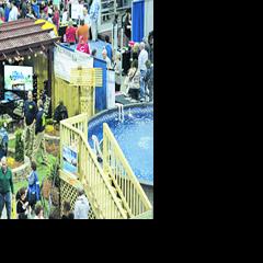 The needs for spring | News | dailyindependent.com