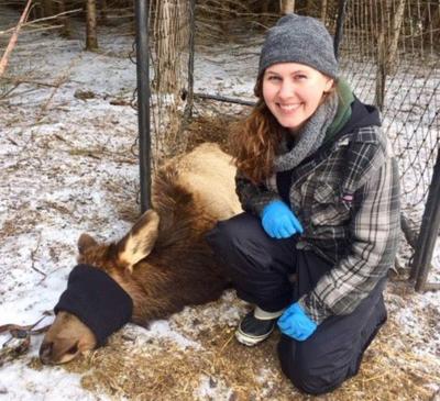 PGC: No confirmed CWD in the Valley, despite many rumors | News ...