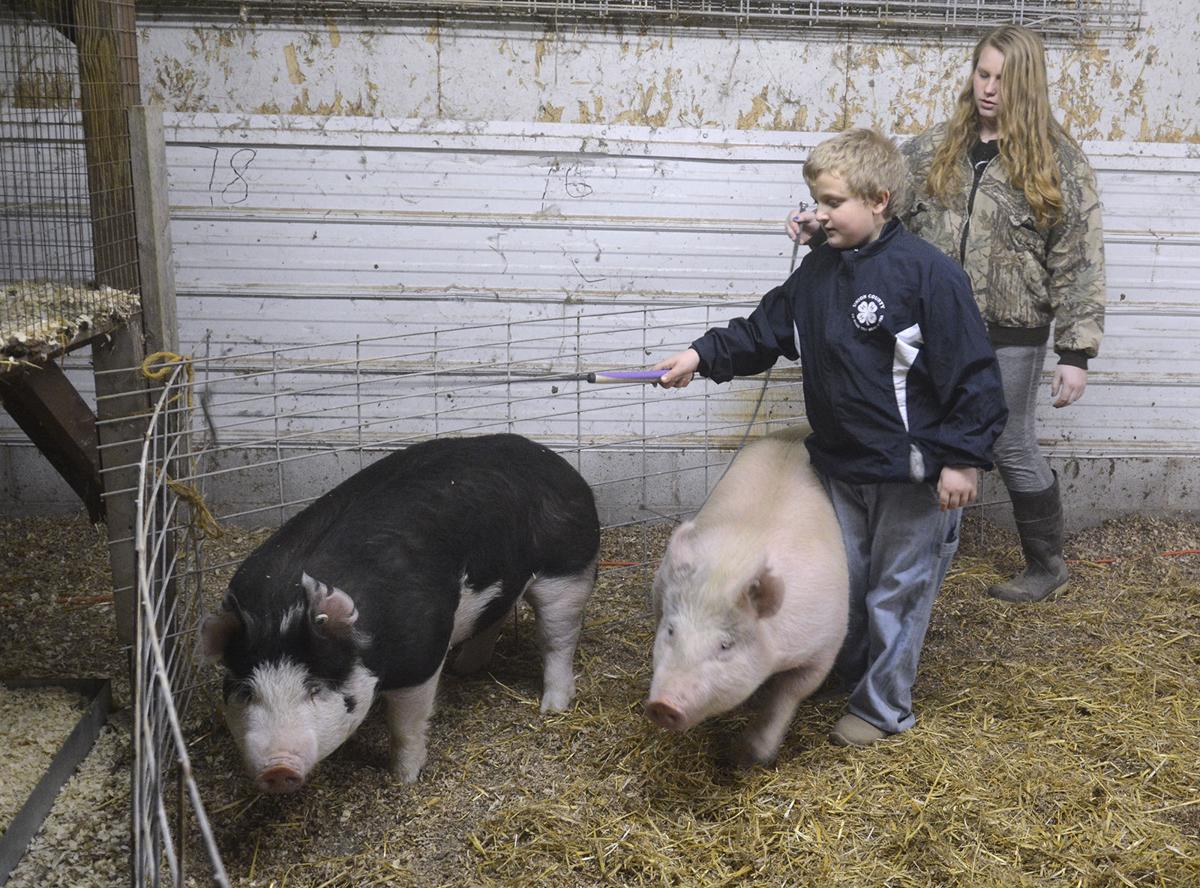 Mifflinburg sister, younger brother ready for Farm Show | News ...
