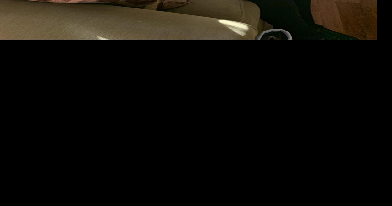 International Bible study opens world of denominations to Winfield ...