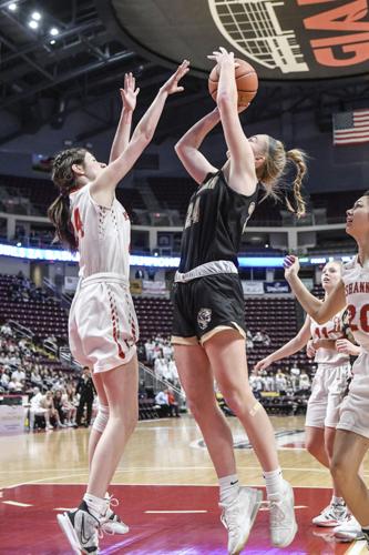 Tigers' historic season ends in state silver | Sports | dailyitem.com