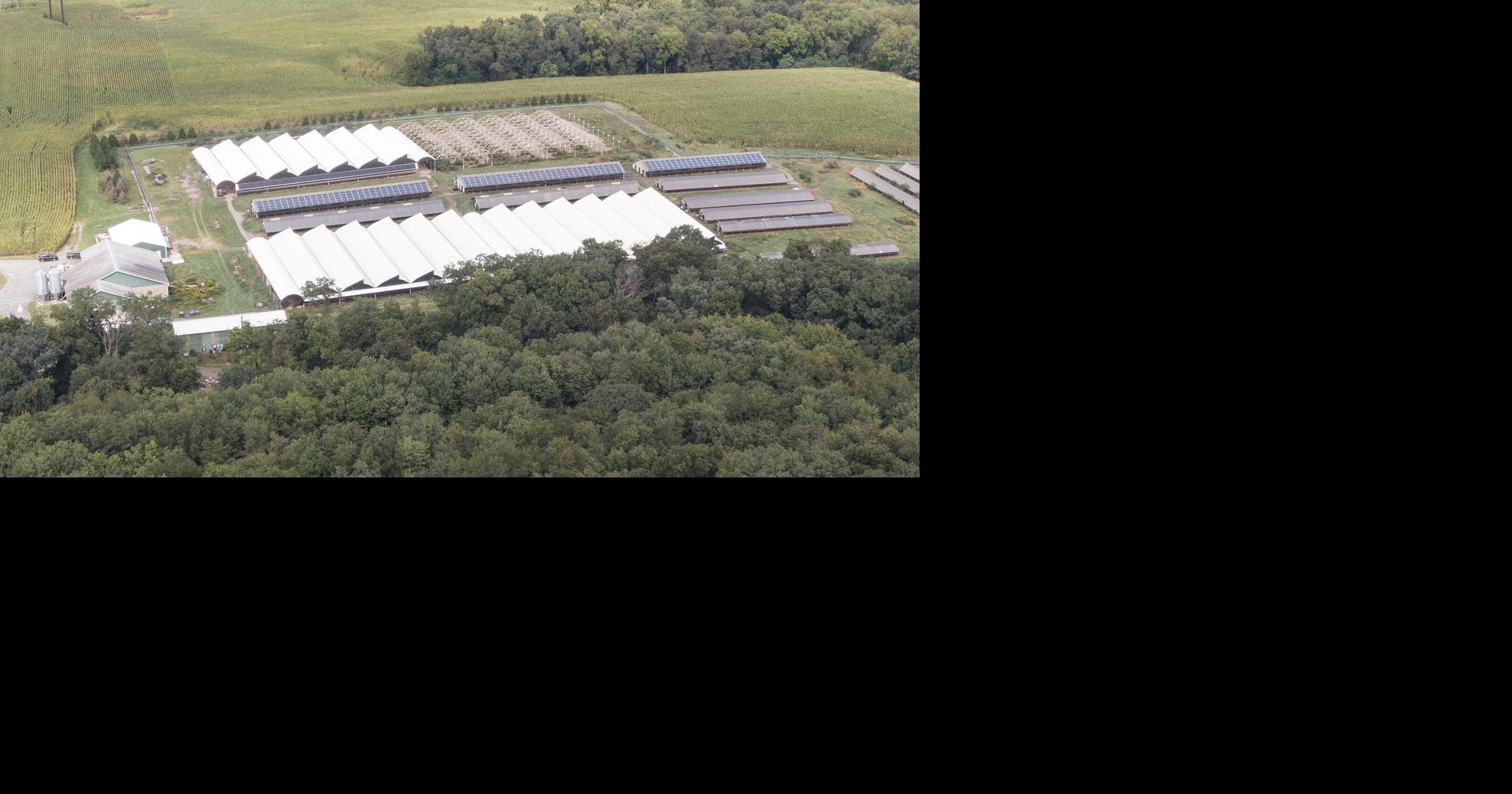 UPDATE: State police investigating release of thousands of minks ...