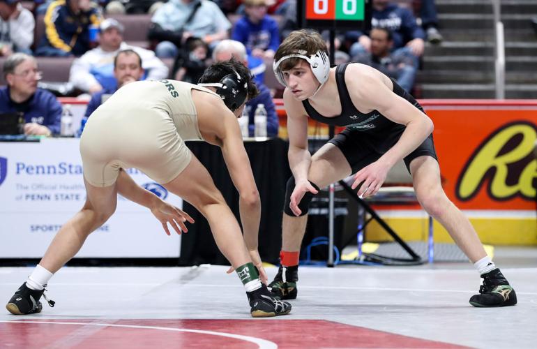 Four Valley wrestlers win bronze | Sports | dailyitem.com