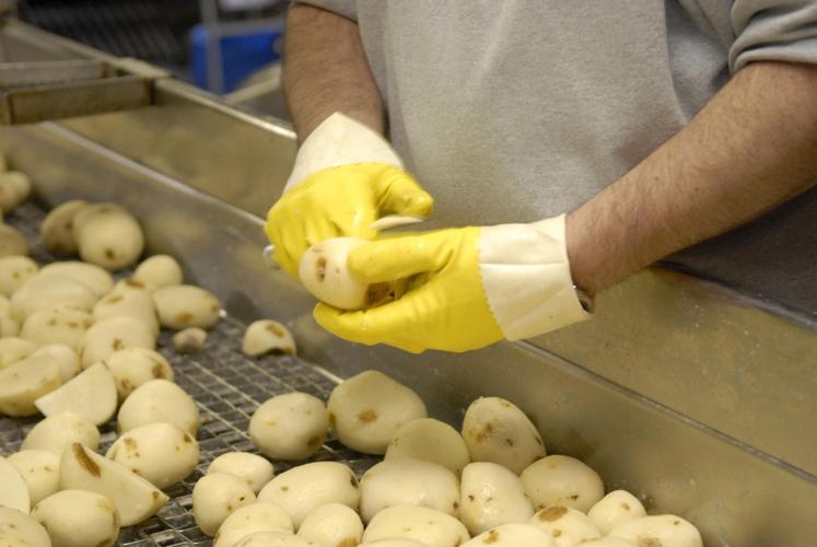 Middleswarth Chip manufacturing | | dailyitem.com