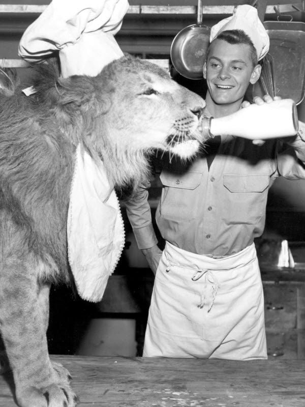 Tinseltown Talks: Carleton Carpenter: Actor, author and lion tamer ...
