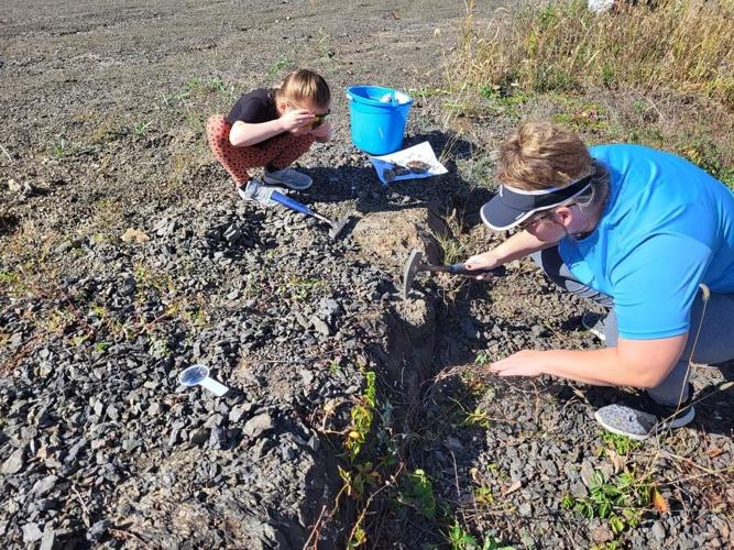 Fossil event allows participants to dig into geology | News | dailyitem.com