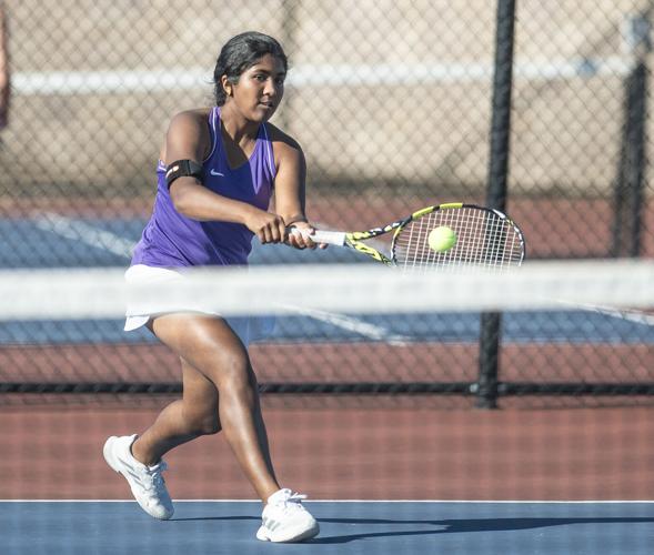 Danville's Bendle, Sundaresan get top seed in D4 doubles | Sports ...