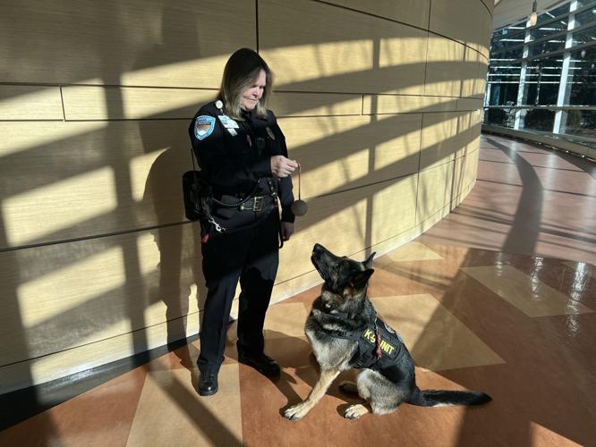 Geisinger security canine fills unrealized community need | News ...
