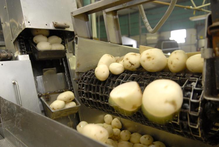 Middleswarth Chip manufacturing | | dailyitem.com