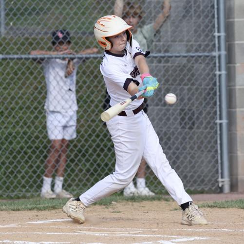 Little League baseball: Shikellamy Juniors win Section 3 crown | Sports ...