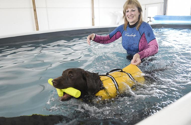 Soggy Doggie enables pups to dive in | Business | dailyitem.com