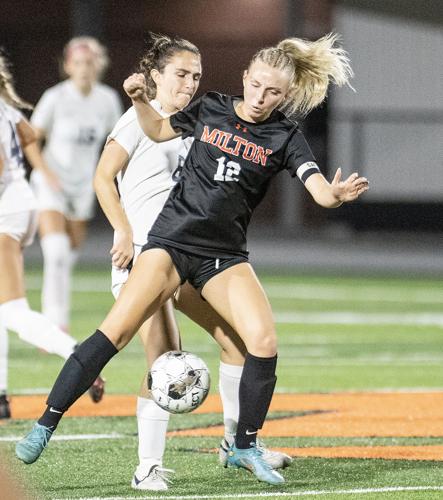 Blue Jays fight off Black Panthers | Sports | dailyitem.com