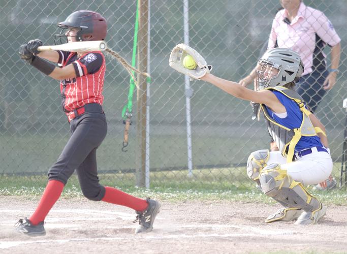 Selinsgrove beats Williamsport to stay alive at sectionals | Sports ...